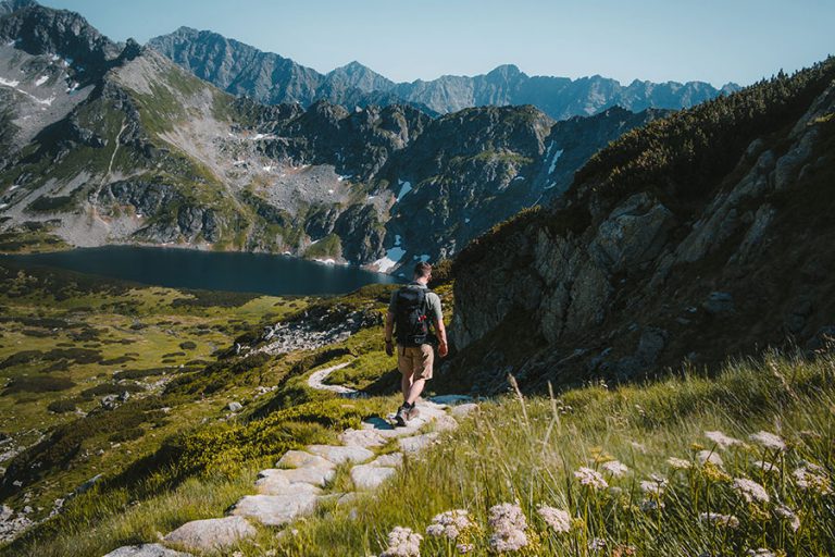 Your Journey - Finding North