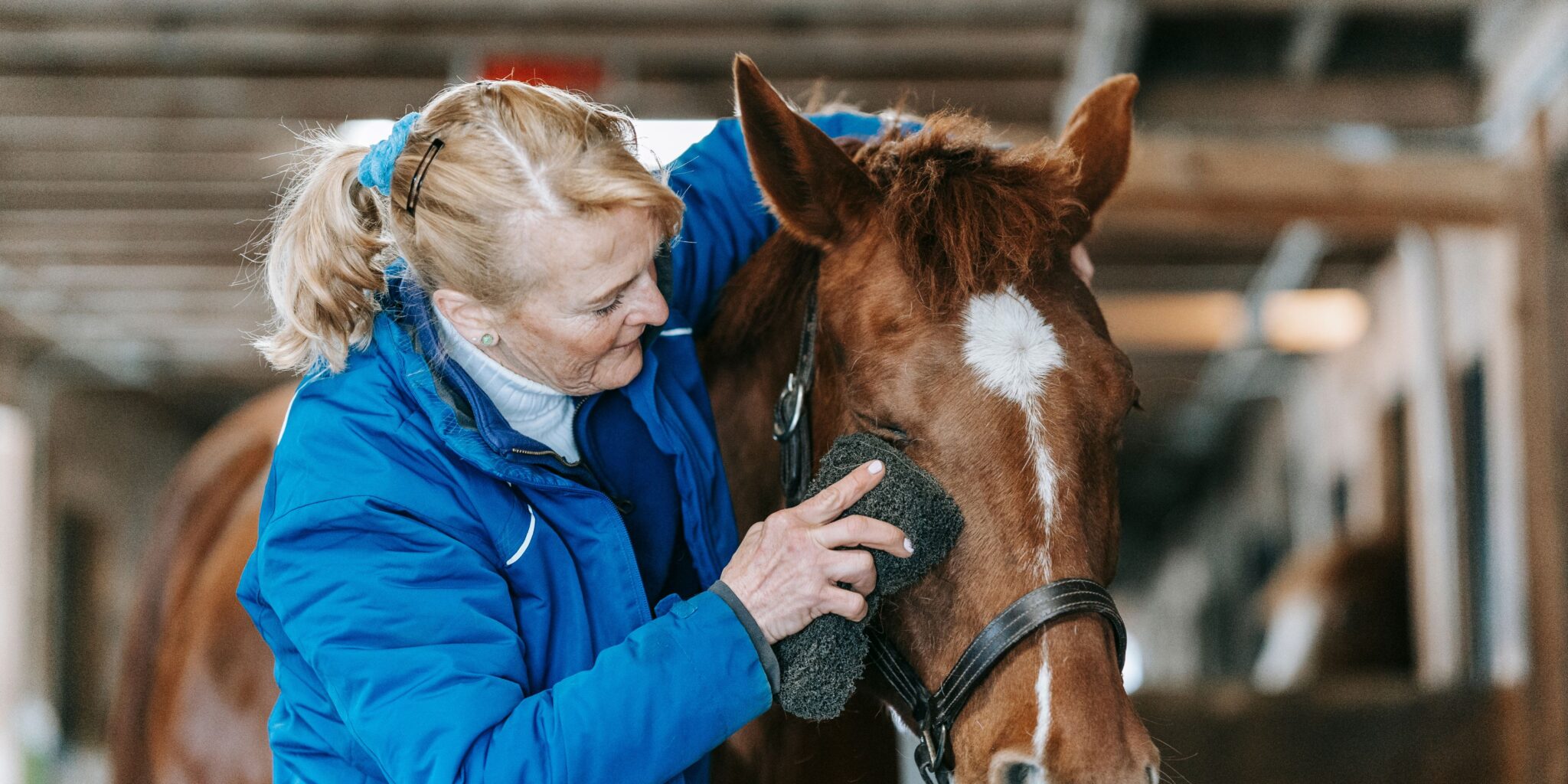 Equestrian Therapy - Finding North